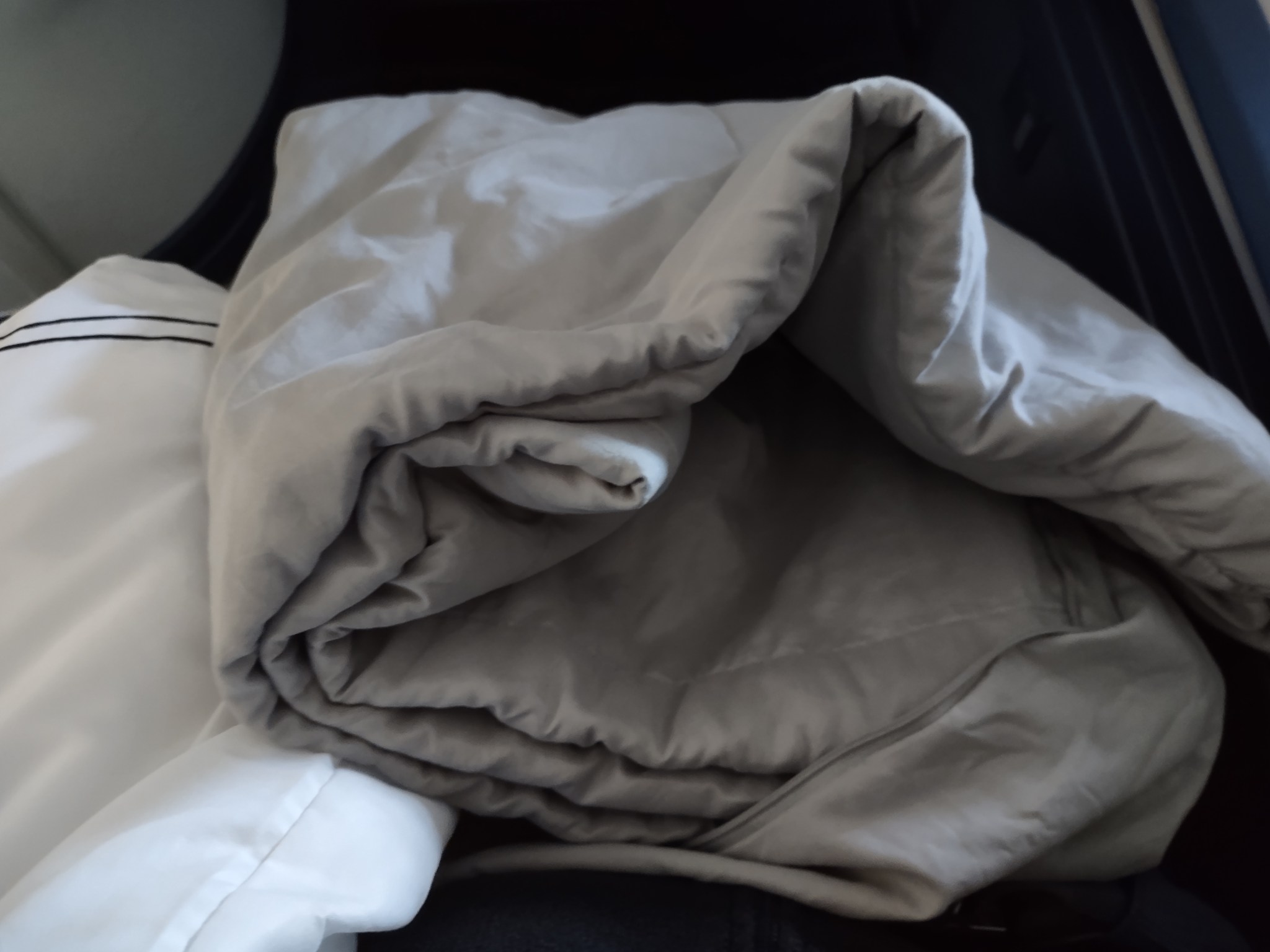 Flight Review: Delta One Business Class | A330-300 | Atlanta to ...