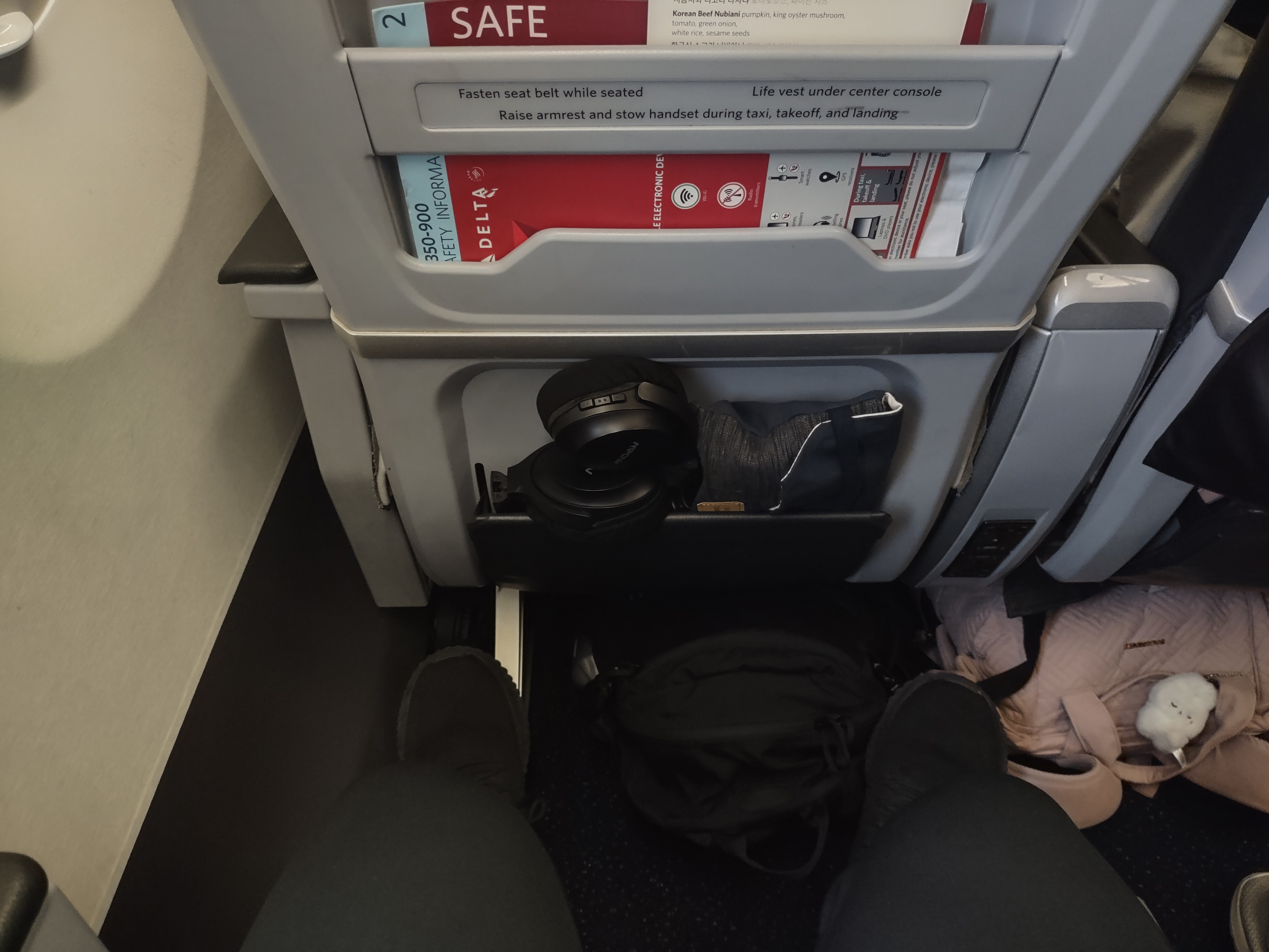 Flight Review: Delta Premium Select | A350-900 | Seoul-Incheon to ...